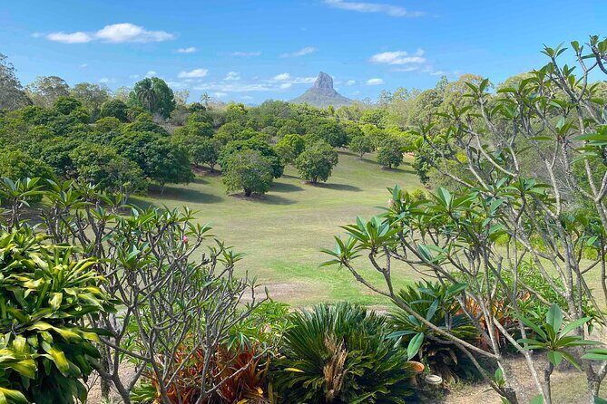 Glass House Mountains Tour with Lunch, Lookouts, and Nature Walks - Transportation, Timing, and Group Size
