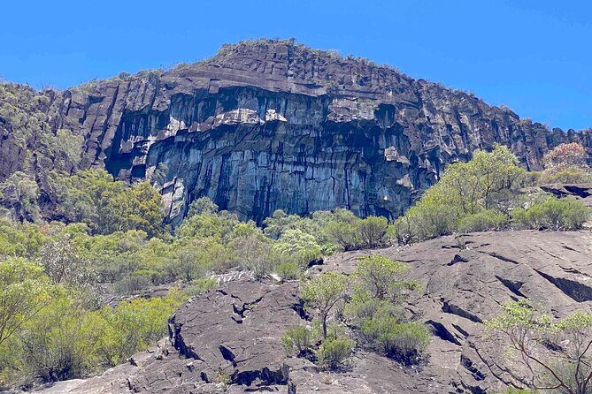 Glass House Mountains Tour with Lunch, Lookouts, and Nature Walks - Who Should Book This Tour?