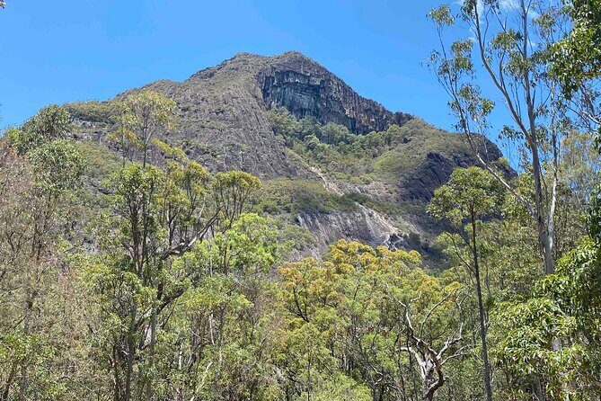 Glass House Mountains Tour with Lunch, Lookouts, and Nature Walks - FAQ: Practical Questions
