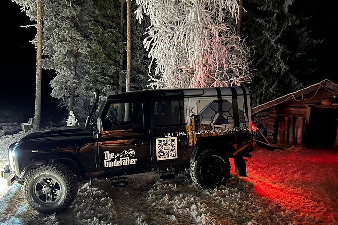 Glass Igloo Campfire Dinner Under Northern Lights - Dinner Experience and Menu