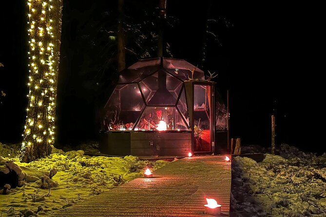 Glass Igloo Campfire Dinner Under Northern Lights - Activities and Additional Adventures