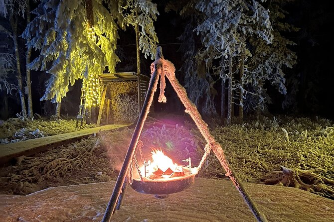 Glass Igloo Campfire Dinner Under Northern Lights - Reviews and Traveler Feedback
