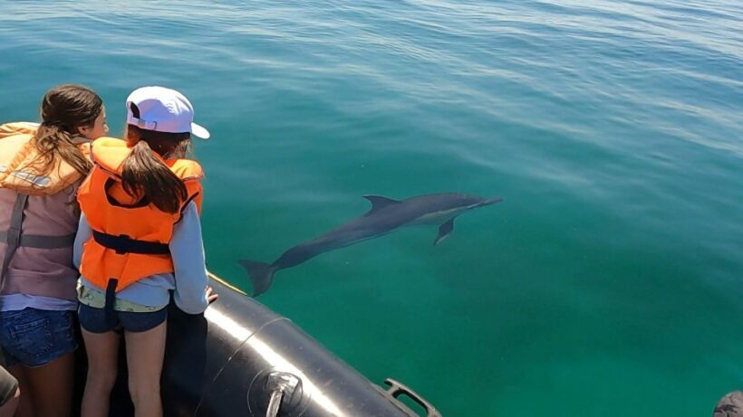 Glénan islands discover, full or half day privatization - What to Expect From the Experience