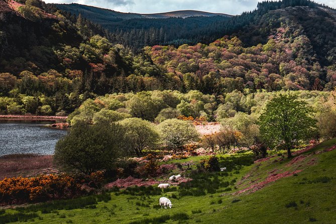 Glendalough Day Tour From Dublin: Including Kilkenny City - Free Time in Kilkenny