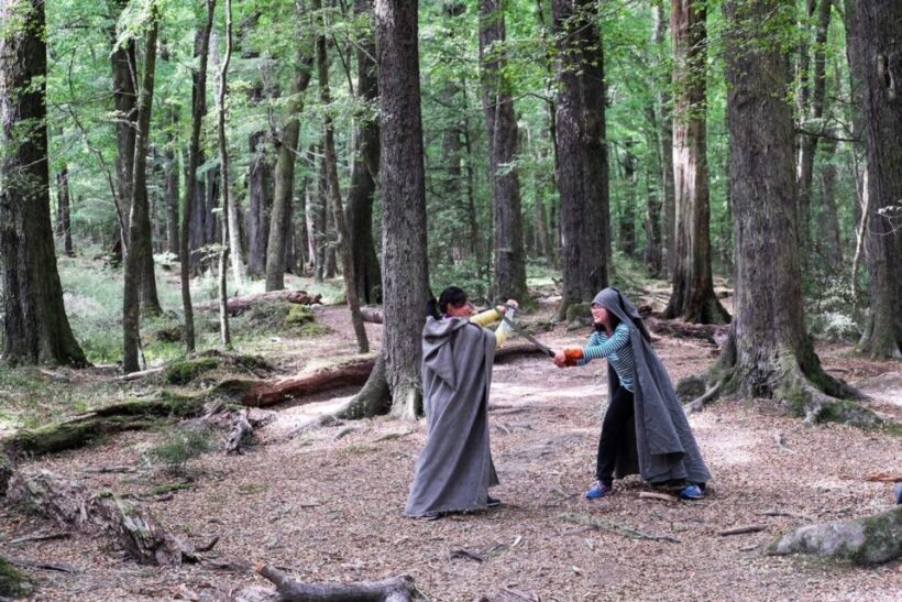 Glenorchy: 4WD Lord Of the Rings Tour Half-Day - Duration, Price, and Value