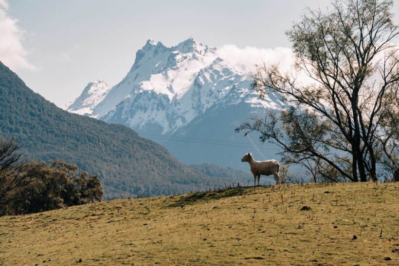 Glenorchy: 4WD Lord Of the Rings Tour Half-Day - The Sum Up