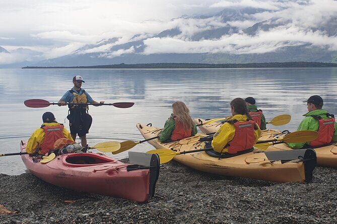 Glenorchy Island Safari, Self-drive option - The Sum Up: Is the Glenorchy Island Safari Worth It?