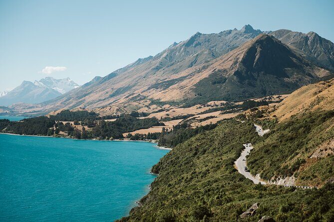 Glenorchy Kiwi Special Tour - Why This Tour Works for You