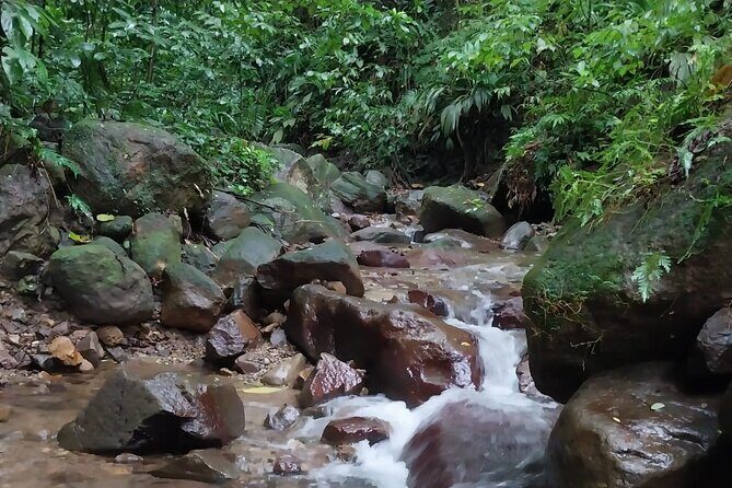 Glide into adventure: Hiking and natural slides - Introduction