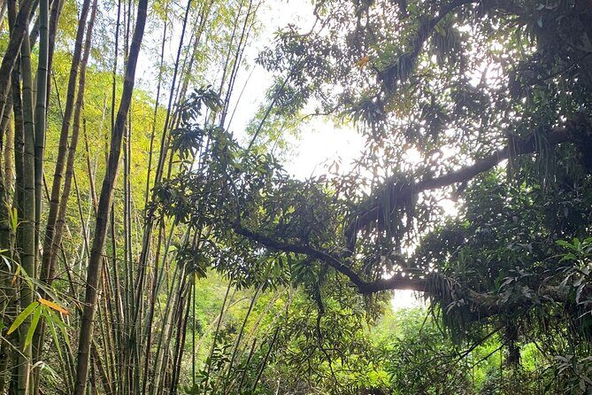 Glide into adventure: Hiking and natural slides - Authenticity and Reviews: What Travelers Say