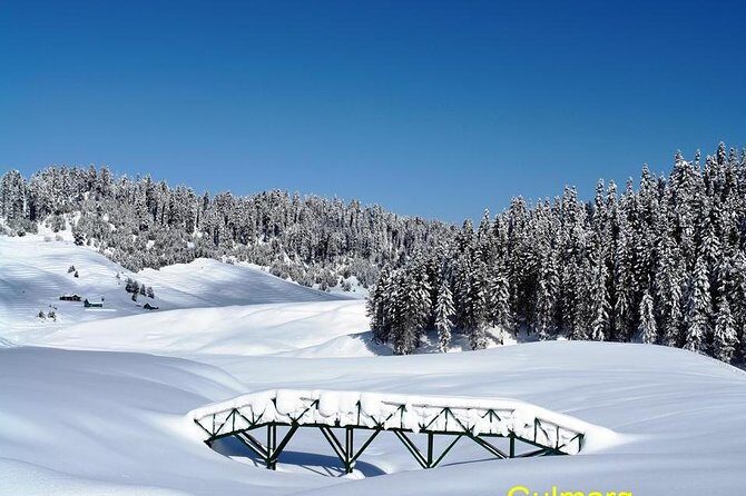 Glimpse of Kashmir - Discovering Kashmir: An In-Depth Review of the 5-Day Tour