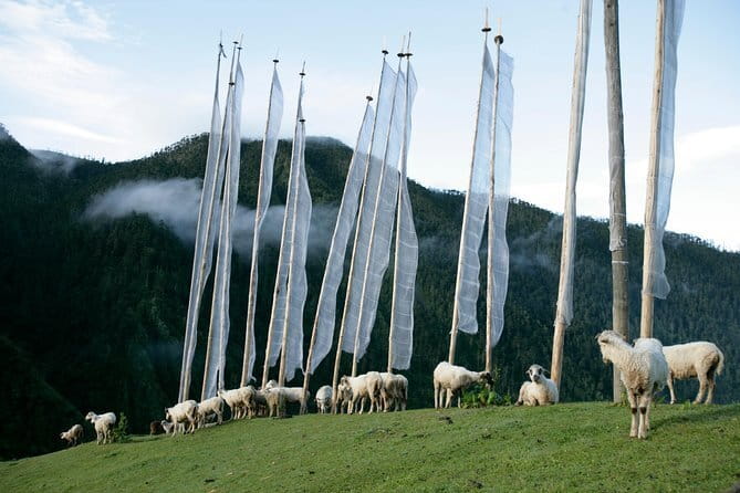 Glimpses of Bhutan - 4 Days Tour - The Value of This Tour