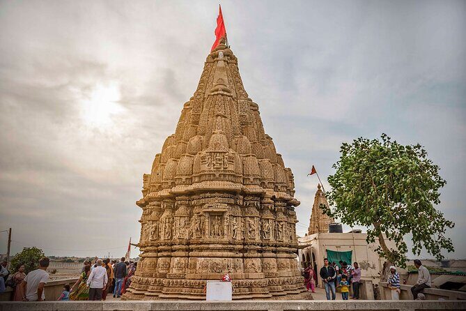 Glimpses of Wildlife & Footstep of Gandhi Gujarat Tour (10 Days) - Key Points