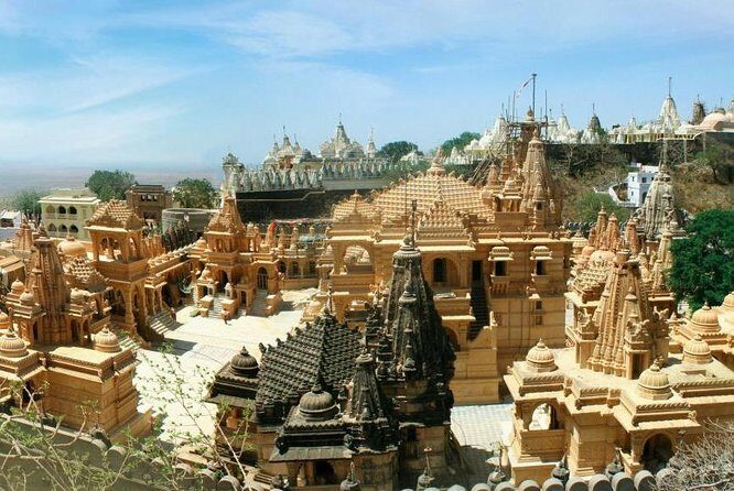 Glimpses of Wildlife & Footstep of Gandhi Gujarat Tour (10 Days) - FAQs