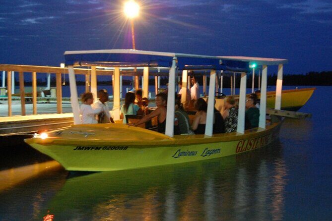 Glistening Waters Luminous Lagoon Boat Tour in Falmouth Jamaica - An In-Depth Look at the Tour