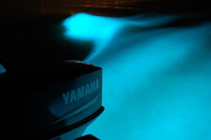 Glistening Waters Luminous Lagoon Boat Tour in Falmouth Jamaica - FAQ