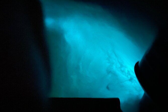 Glistening Waters Luminous Lagoon Night tour with swim option - The Sum Up: Is It Worth It?