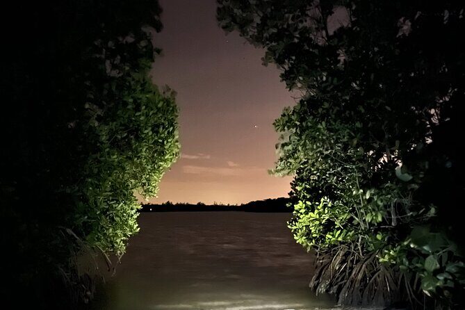GLOW Clear Kayak Tour - FAQs About the GLOW Clear Kayak Tour