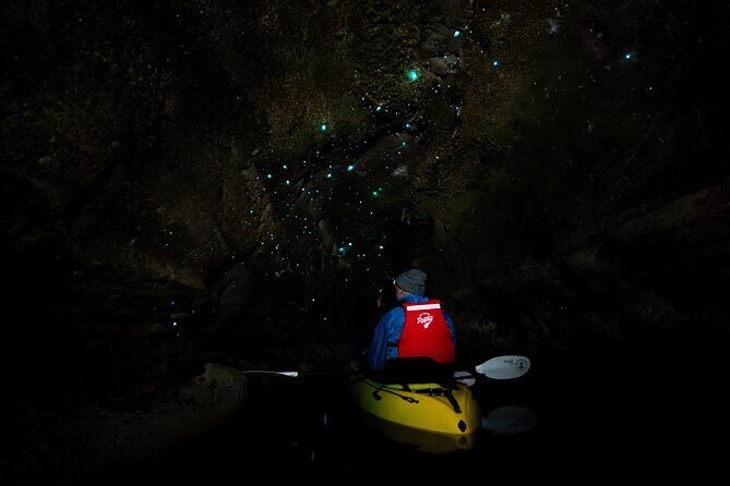 Glow Worm Kayak Tour - The Itinerary in Detail