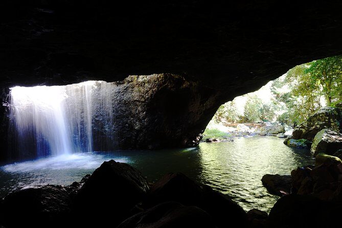 Glow Worms + Day/Night Rainforest & Waterfalls Experience - Key Points