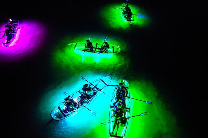 Glowing Kayak Tour - Kerrville - What You Can Expect from the Glow Kayak Tour Kerrville