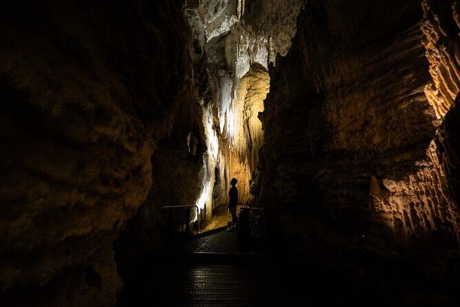 Glowworm Caves & Hamilton Gardens Day Tour from Auckland - Authentic Feedback & Experiences