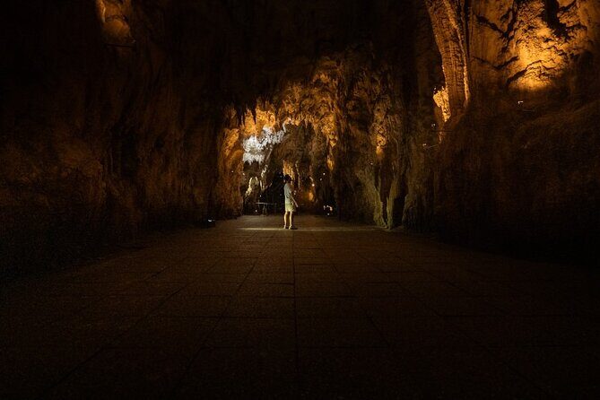 Glowworm Caves & Hamilton Gardens Day Tour from Auckland - Final Thoughts: Who Should Consider This Tour?