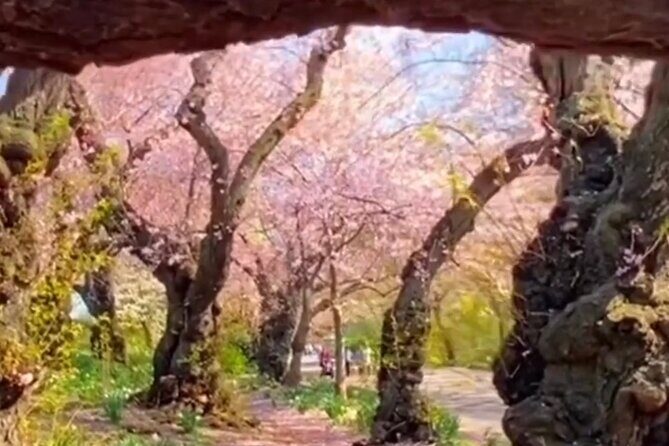 Gluten Free Walking Tour of Central Park NYC - Who Is This Tour Best For?