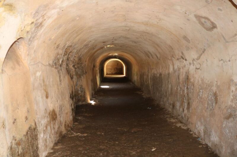 Gnatia Ruins and Archaeological Museum Private Guided Tour - Key Points