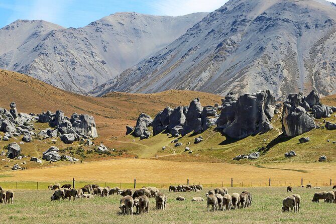 Go Caving & Explore Castle Hill from Lyttelton (Shore Excursion) - Key Points