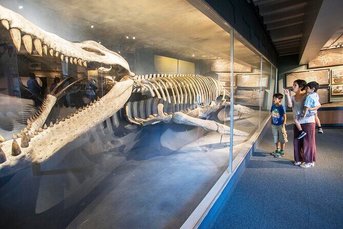 Go City: Boston Explorer Pass - Choose 2, 3, 4 or 5 Attractions - What Reviewers Say About the Pass