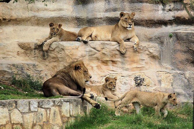 Go City San Antonio Explorer Pass: Tickets for 2-5 Attractions - The Practicalities