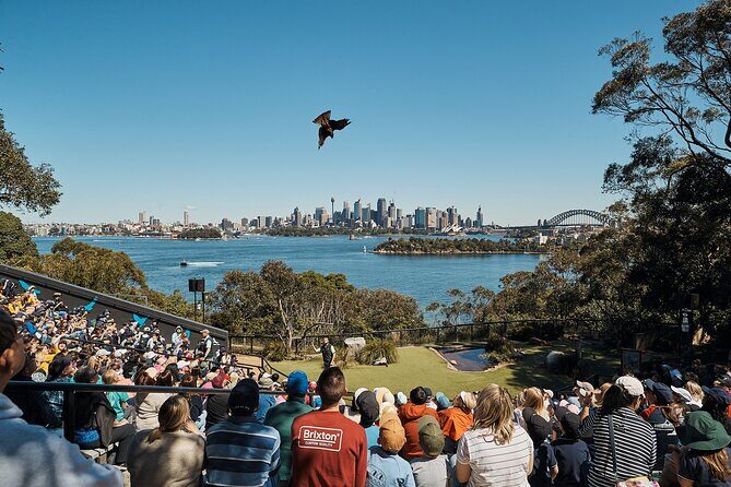 Go City | Sydney Explorer Pass with 25+ Attractions and Tours - What Travelers Are Saying
