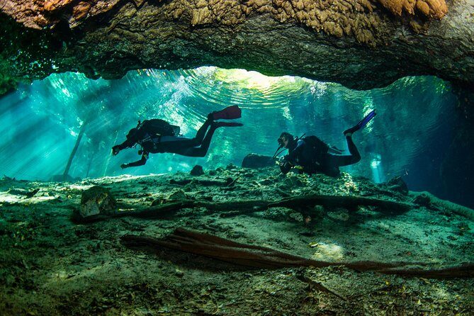 Go for 2 dives in cenote Dos ojos for certified divers - Pricing and Value