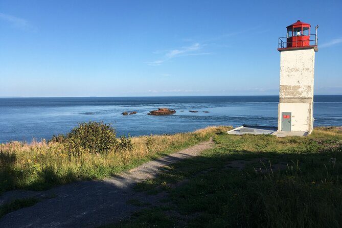 Go Fundy Tours - Exploring Go Fundy Tours: An Authentic Coastal Adventure from Saint John