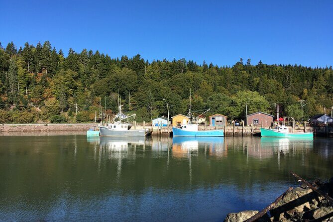 Go Fundy Tours - FAQ