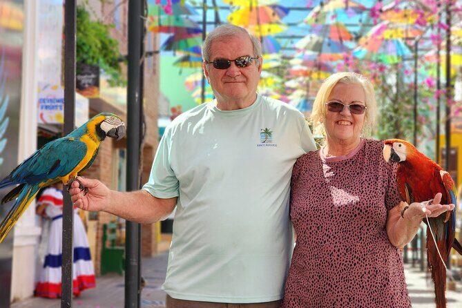 Go Kart and Highlights of Puerto Plata Half Day Tour - Authentic Experiences & Genuine Traveler Feedback