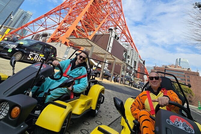 Go Karting in Tokyo - Who Will Enjoy This?