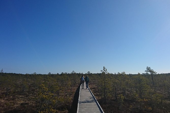 Go North  Private 1 Day Trip to Estonian Nature - What’s Included and What’s Not