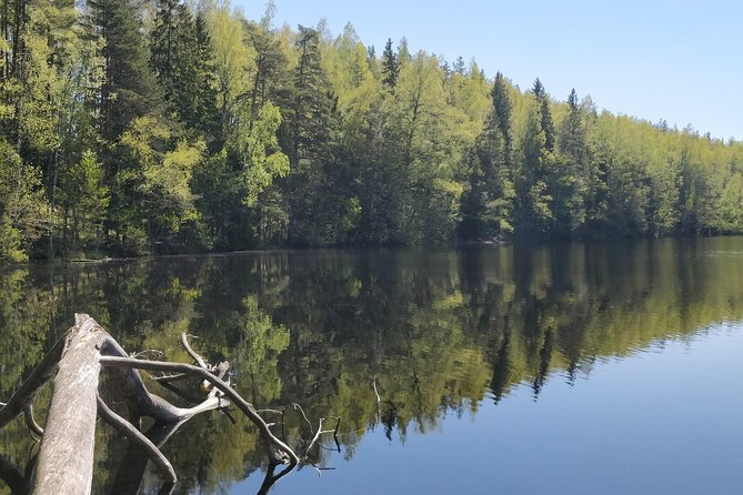 Go North  Private 1 Day Trip to Estonian Nature - The Practicalities