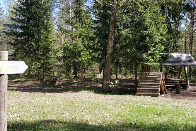 Go North  Private 1 Day Trip to Estonian Nature - Authentic Feedback from Past Travelers