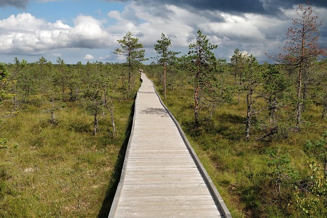 Go North  Private 1 Day Trip to Estonian Nature - The Sum Up: Who Will Enjoy This Tour?