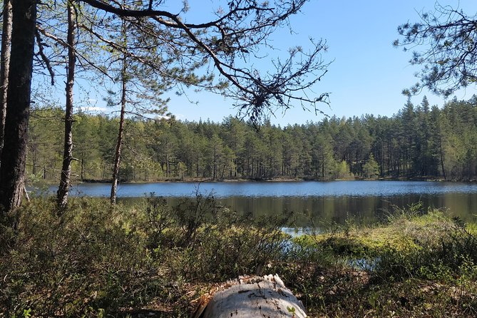 Go North  Private 1 Day Trip to Estonian Nature - FAQ