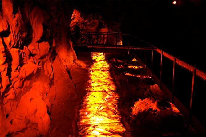 Go North Tour - Madeira Island Excursion - Accessibility and Additional Information