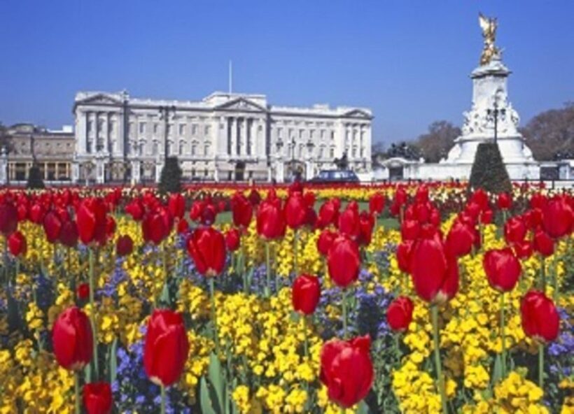 Go On-Board HMS Belfast & See 30+ London Top Sights - Practical Tips for Travelers