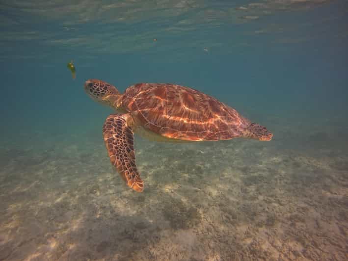 Go Pro Snorkling Trip 3 Islands. - What Makes This Trip Stand Out?