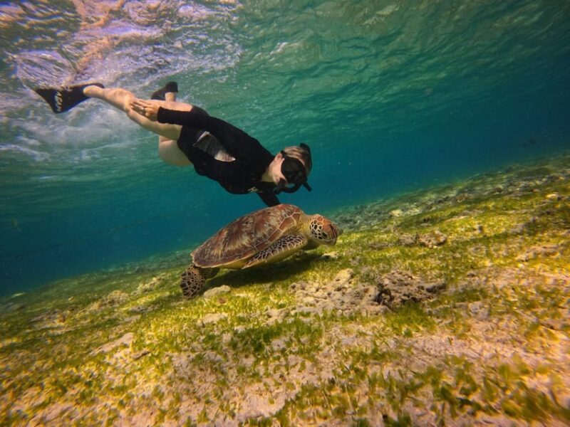 Go Pro Snorkling Trip 3 Islands. - Practical Details and Logistics