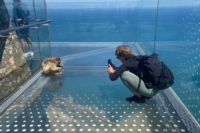 Go Tours 360° Experience in Gibraltar with Professional Guide - The Sum Up