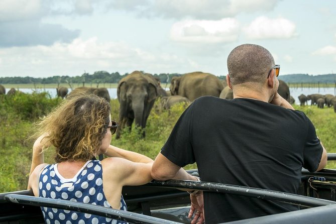 GO WILD! Double Safari Day Trip (Yala & Udawalawe) - Private & All Inclusive - FAQs
