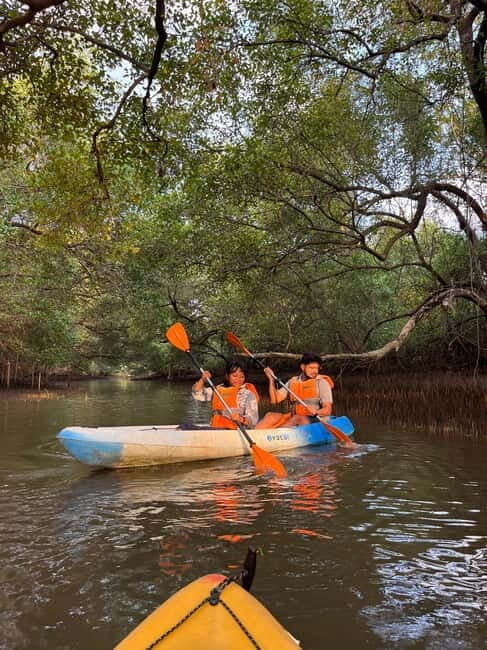 Goa: Backwater Kayaking Tour - Key Points